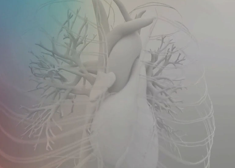 Premier Vein & Vascular Health Centers in Bay Area, CA